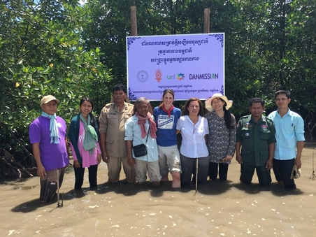 The Weekly Shot: Together in the Mangrove Marsh | URI